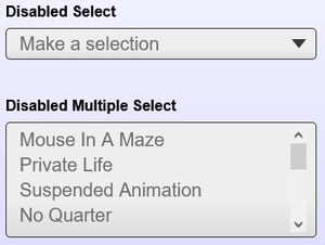 Customizing Multi-select Lists with CSS | HTML Goodies