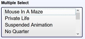 Customizing Multi-select Lists with CSS | HTML Goodies