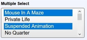 Customizing Multi-select Lists with CSS | HTML Goodies