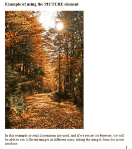 Working with HTML Images | HTMLGoodies.com